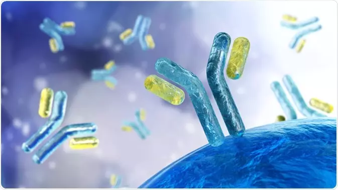 Antibodies, 3D kupa - Mufananidzo Chikwereti: ustas7777777 / Shutterstock