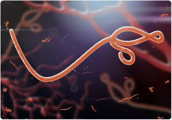 ebola