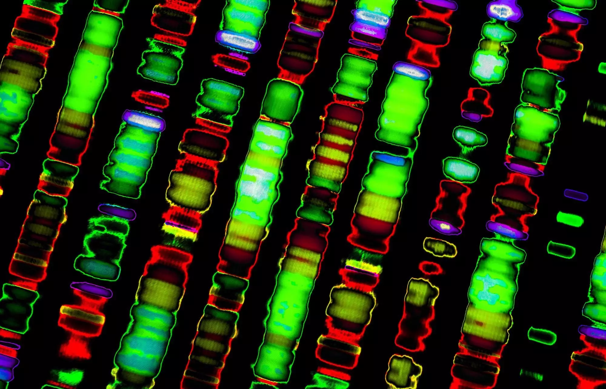 Kompletní sekvence lidského genomu. Obrazový kredit: Gio.tto / Shutterstock