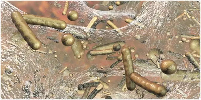 Antibiotic resistant bacteria sulod sa biofilm. Kredito sa Hulagway: Kateryna Kon / Shutterstock