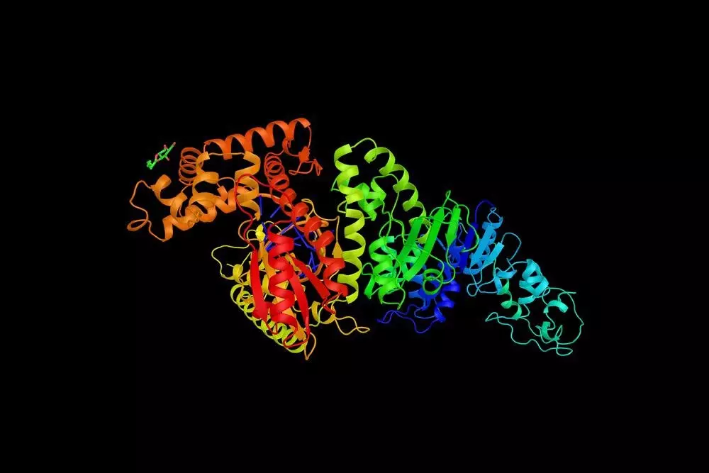 Mis on Taq Polymerase?