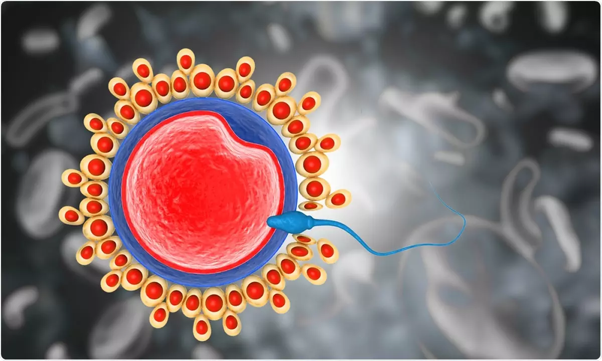 Estudio: la vacuna BNT162b2 mRNA Covid-19 no altera los parámetros del esperma. Haber de imagen: Explotar/Shutterstock