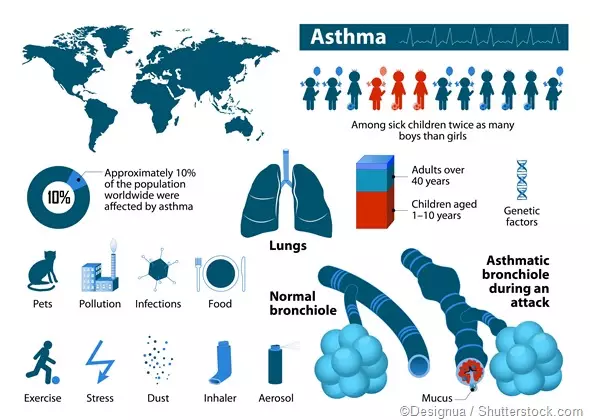 Asma infographic