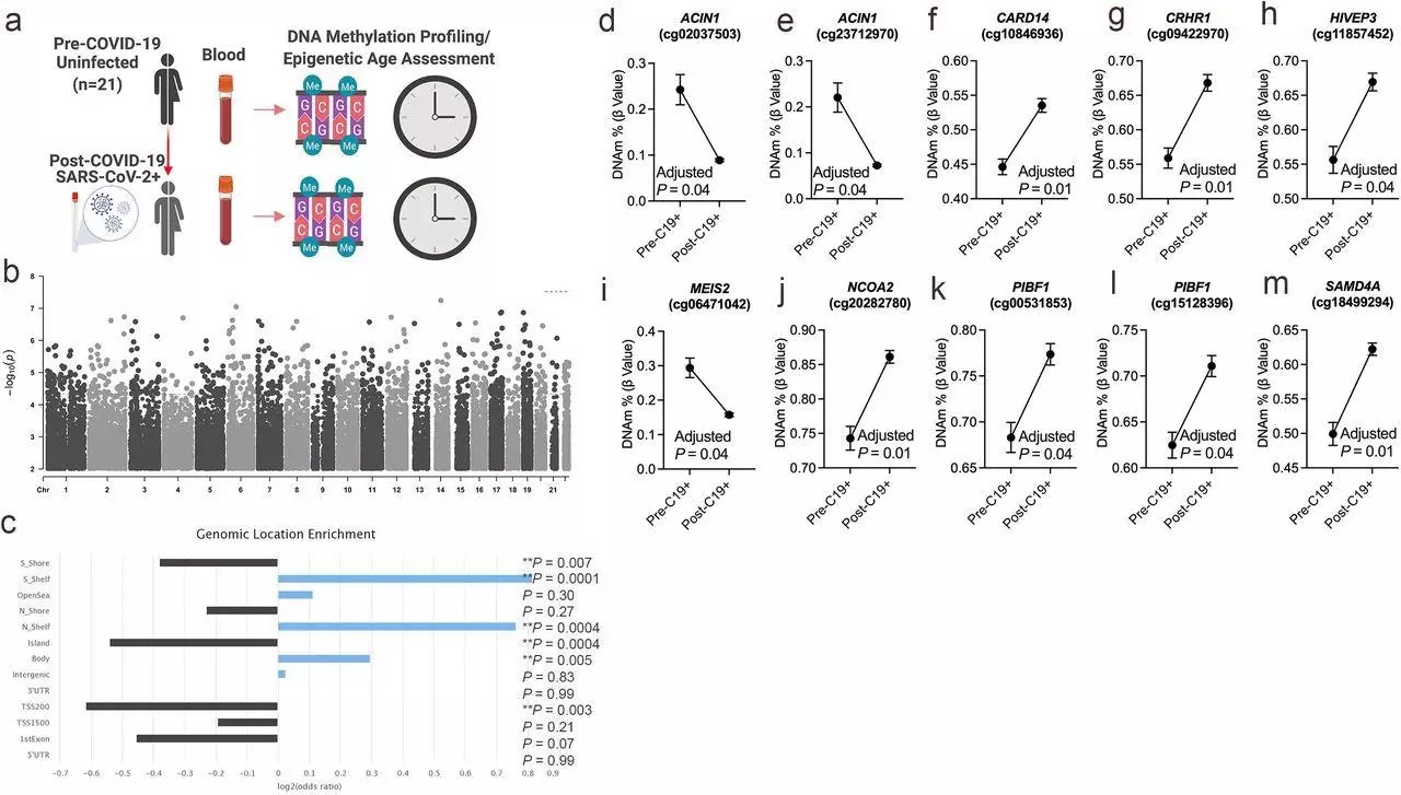 Newidiadau methylation DNA mewn gwaed sy'n gysylltiedig â COVID-19 ysgafn / cymedrol. a. Astudio dyluniad asesiad hydredol o broffiliau methylation DNA mewn 21 o gyfranogwyr cyn ac ar ôl haint SARS-CoV-2. b. Plot Manhattan o loci methylated gwahaniaethol (DML) sy'n gysylltiedig â COVID-19 ysgafn / cymedrol. c. Graff bar o gyfoethogiad genomig o COVID-19 DML mewn 13 o ranbarthau gwahanol o'r genom o'u cymharu â genyn ac ynys CpG. Defnyddir prawf hypergeometrig i gyfrifo gwerth P ac od gymhareb. d-m. Lleiniau o DML COVID-19 yn arddangos lefelau methylation DNA cymedrig +/- SEM ar gyfer CpGs sy'n gysylltiedig ag ID genyn. Gwerth P wedi'i addasu wedi'i gyfrifo gan ddefnyddio cywiriad Benjamini-Hochberg.