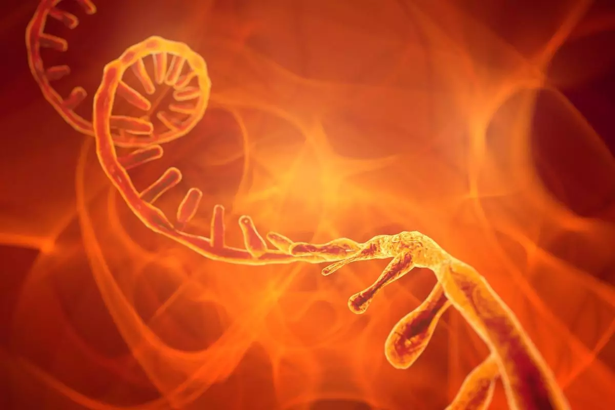 Studio: Sequenza selettiva di purificazione di RNA biologici utilizzando nanoswitch di DNA. Credito immagine: CROCOTHERY/Shutterstock