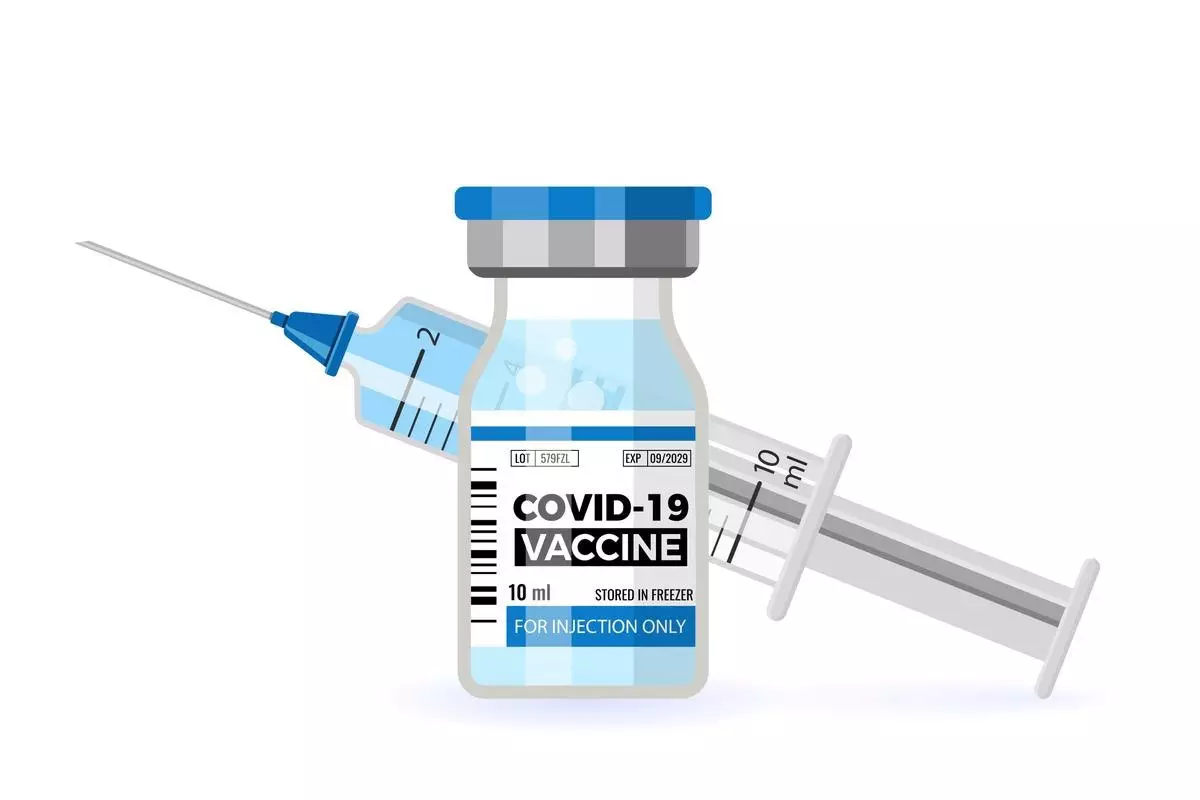 Chidzidzo: Humoral uye cellular immune ndangariro kune ina COVID-19 vaccin. Mufananidzo Chikwereti: Telnov Oleksii/Shutterstock