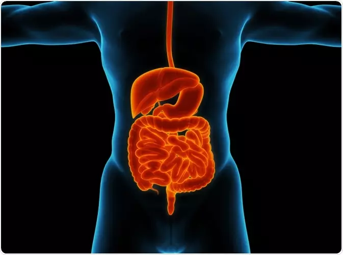 COVID-19 ve Gastrointestinal Sistem