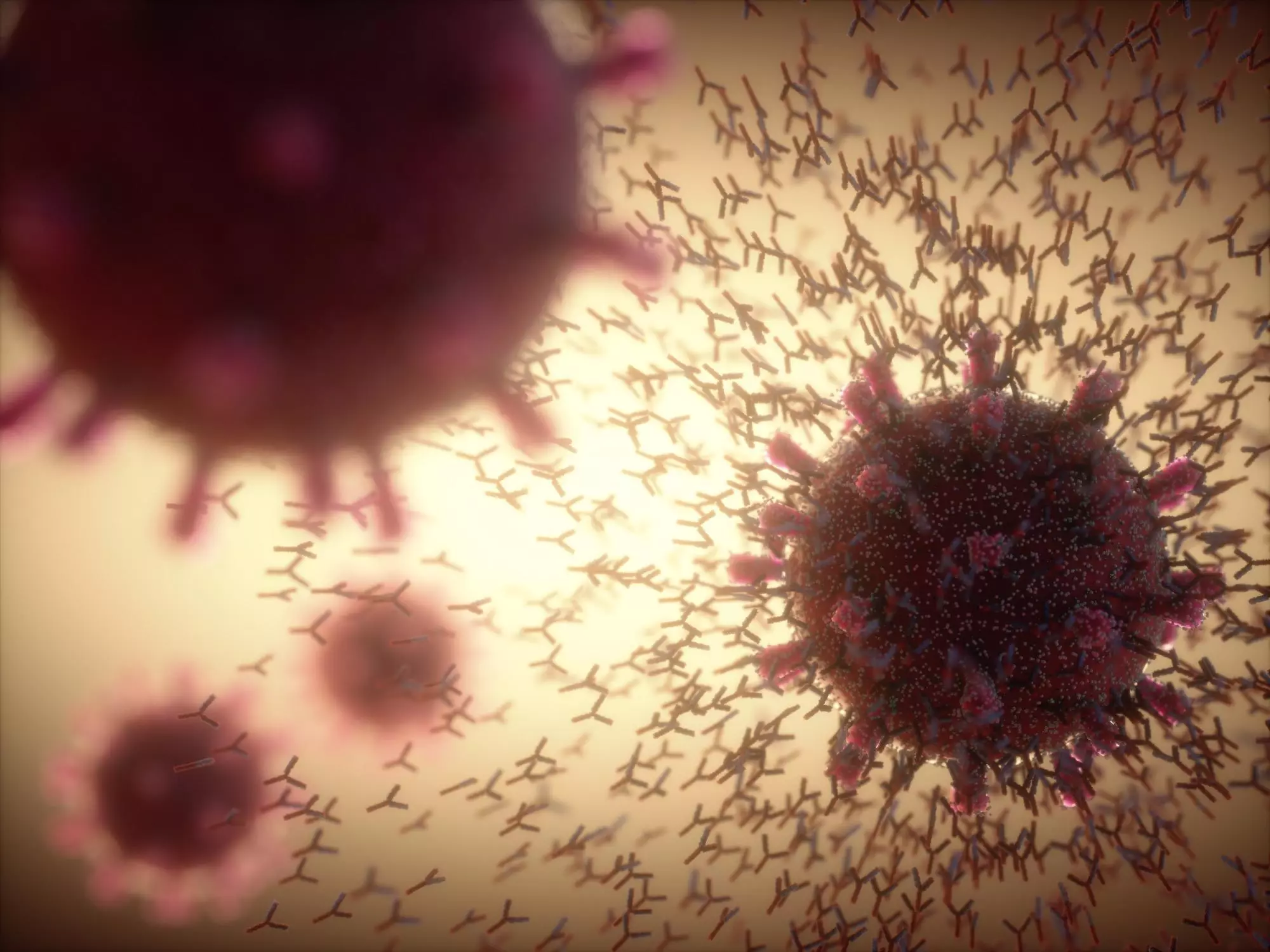 Immunocompromised hosts mei Delta / Omicron co-ynfeksjes