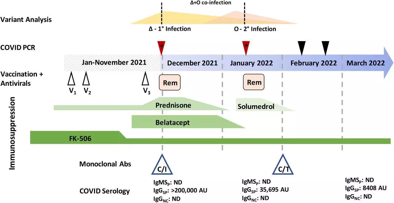 Analiza varijanti provedena je na točkama označenim crvenim trokutom (pozitivan SARS-CoV-2 test), a isprekidana linija iznad siječe hipotetizirano virusno opterećenje varijanti Delta (Δ) i Omicron (O) u svakom uzorku. Crni trokuti su negativni SARS-CoV-2 PCR testovi. V1-V3 predstavlja doze cjepiva. Rem: remdesivir. Zelene linije označavaju imunosupresive, a visina oblika odražava razinu doze. Vrijeme liječenja i primjene monoklonskim antitijelima označeno je plavim trokutima. C/I: casirivimab/imdevimab, C/T: tixagevimab i cilgavimab. Serologija COVID-a pokazuje kada su provedeni specifični testovi na antitijela. IgMSP: IgM anti-spike, IgGSP: IgG anti-spike, IgGNC: IgG anti-nukleokapsid, ND: nije otkriven, AU: proizvoljne jedinice.