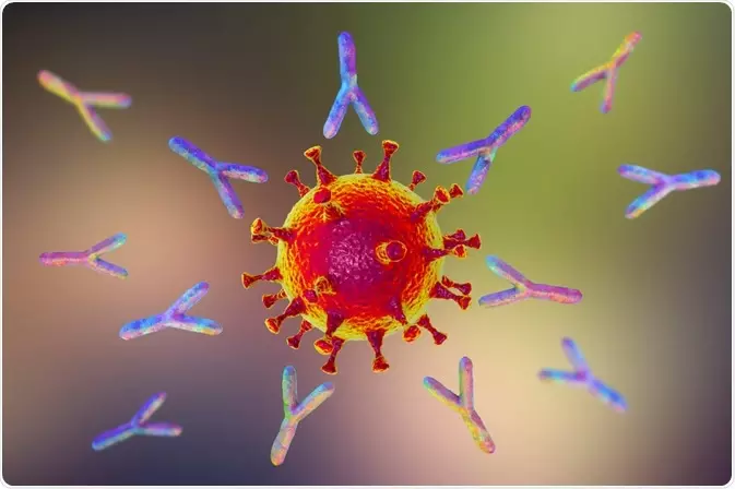 MaAntibodies Anoshanda Sei Pakurapa COVID-19?