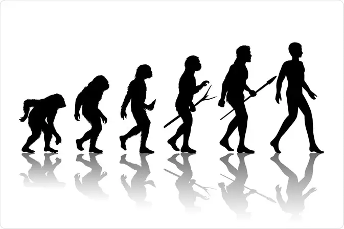 Evolusie van die mens