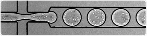 Generant picogotes