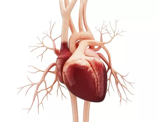 Ọmụmụ ihe ọhụrụ na-eme ka a mata ihe kpatara na ndị na-eme egwuregwu na-enwekarị ụda obi na-adịghị mma