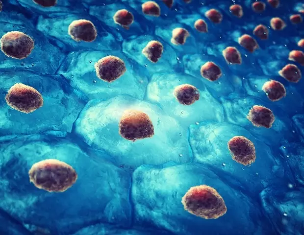 La scoperta delle cellule staminali offre speranza per il diabete