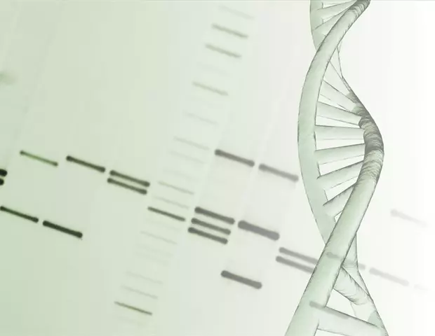 DNA-analyse af egyptisk farao