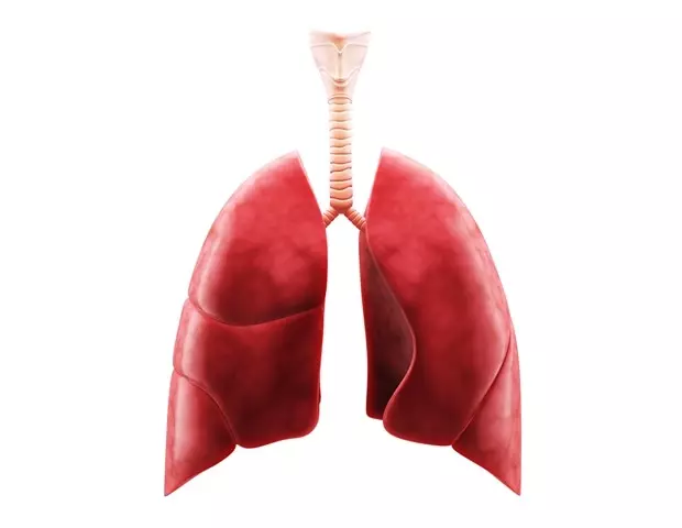 3D datorsimulācija, lai palīdzētu ārstēt sabrukušas plaušas