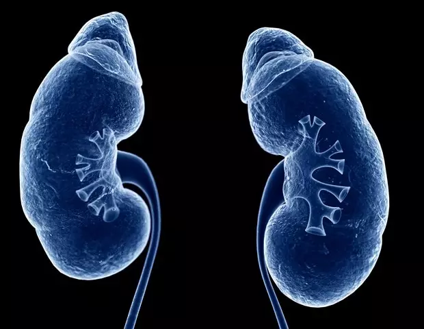 Ukuxilongwa kunye noNyango lweSifo esiFumanayo seCystic Kidney