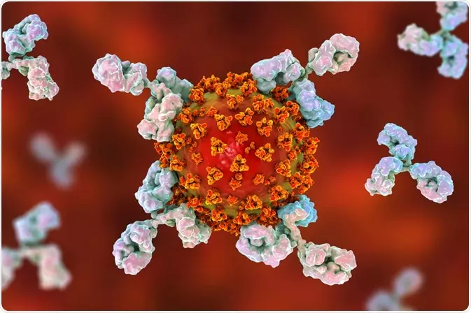 Kodi Udindo wa Ma Autoantibodies mu COVID-19 ndi chiyani?