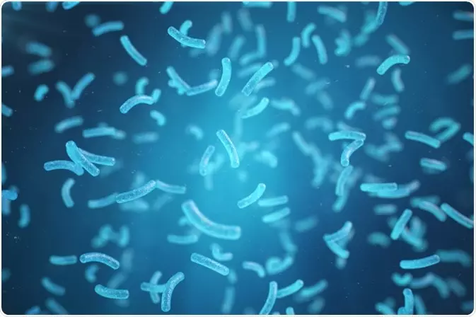 Bacteria mo metaproteomic sequencing - Saunia e Rost9