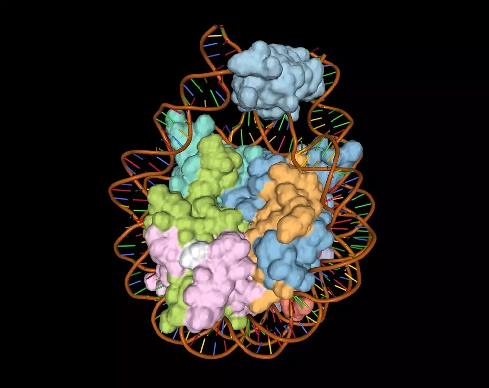 Σύμπλεγμα DNA-ιστόνης
