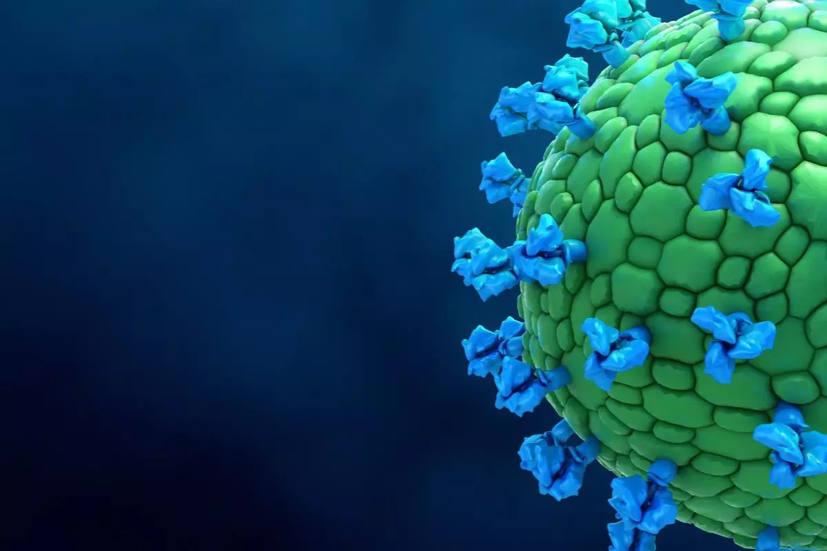 Studie zkoumá fytochemická antivirotika proti infekci SARS-CoV-2