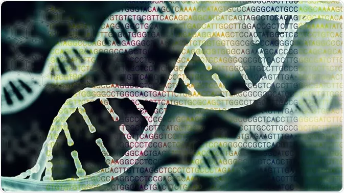 DNA Ọkọọkan