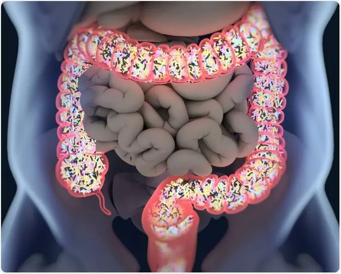 Gut Microbiome