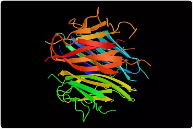 Adiponectina e Diabetes