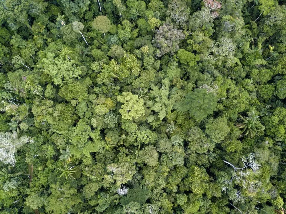 生物多様性