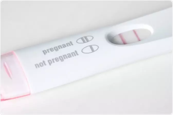 Cos'è una gravidanza criptica?