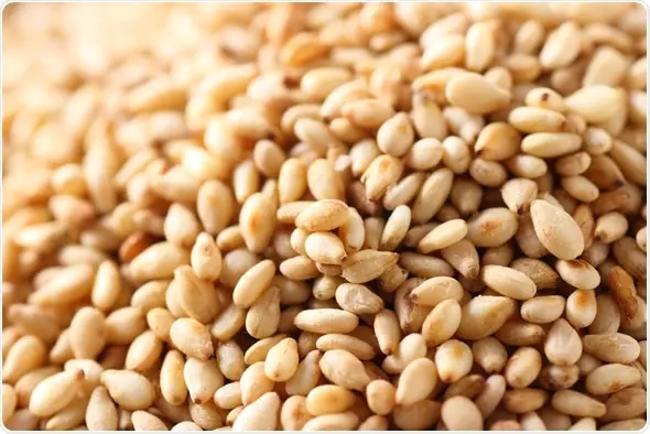 Allergy Mkpụrụ Sesame