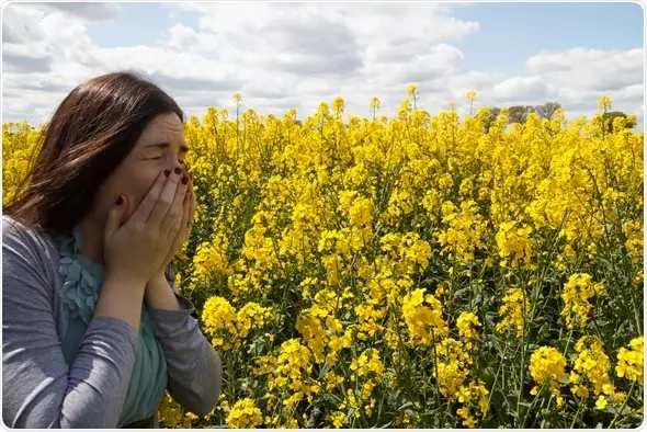 계절 알레르기