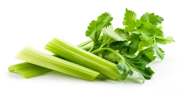 Celery Allergy