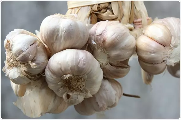 Garlic - Mufananidzo Copyright: Resul Muslu / Shutterstock