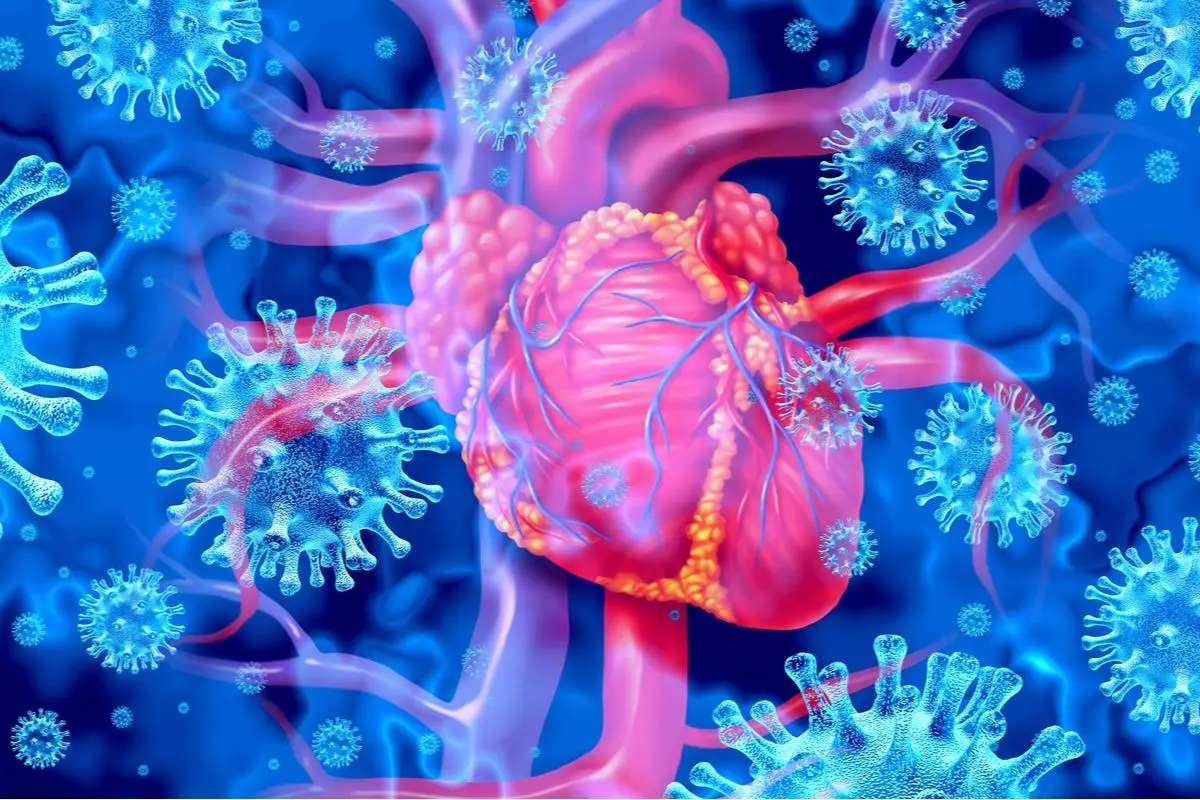 Phunziro: Kuyang'anira Myopericarditis kutsatira Katemera wa COVID-19 Booster Dose mu Large Integrated Health System. Ngongole yazithunzi: Lightspring/Shutterstock